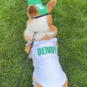 Golf Caddie Bib for Dogs With Name Badge on Back of Caddy Bibs White ...