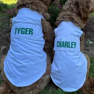 Golf Caddie Bib for Dogs With Name Badge on Back of Caddy Bibs White ...