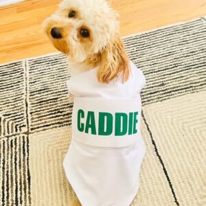Golf Caddie Bib for Dogs With Name Badge on Back of Caddy Bibs White ...
