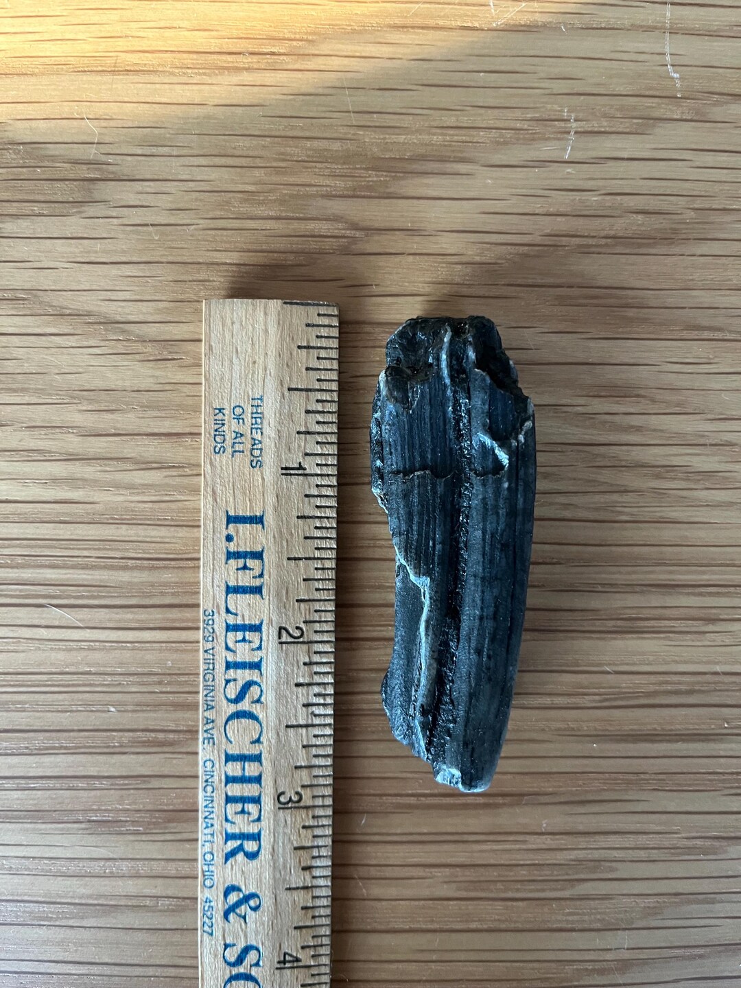 Ice Age Horse Tooth Fossil - Etsy