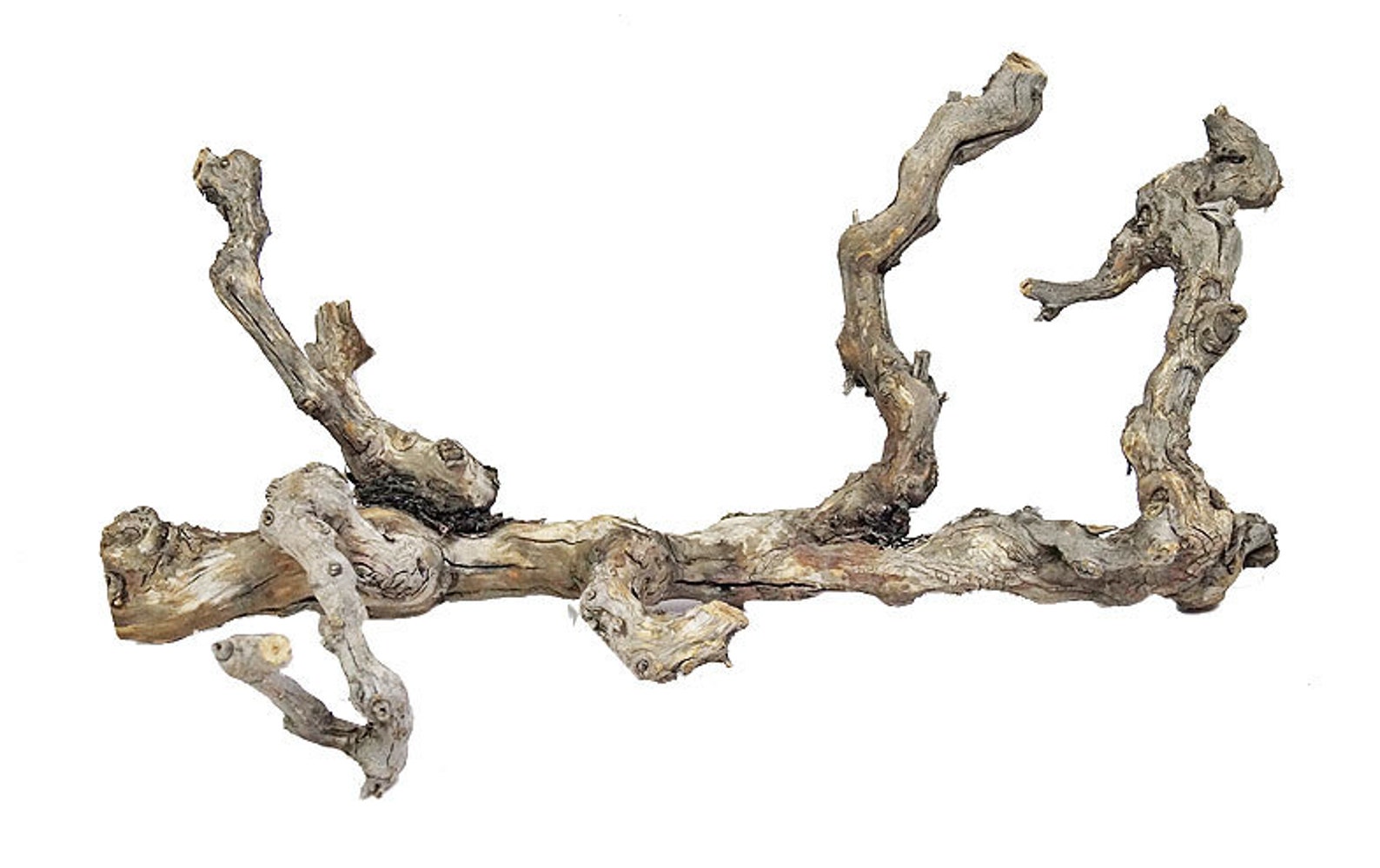 Natural Grapevine/grapewood Branches for Reptiles Terrairums - Etsy