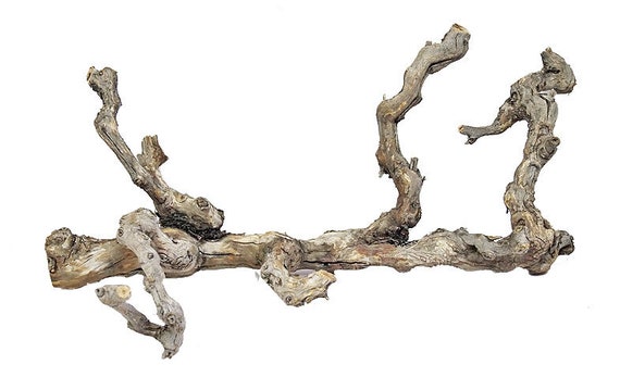 Natural Grapevine/grapewood Branches for Reptiles Terrairums - Etsy