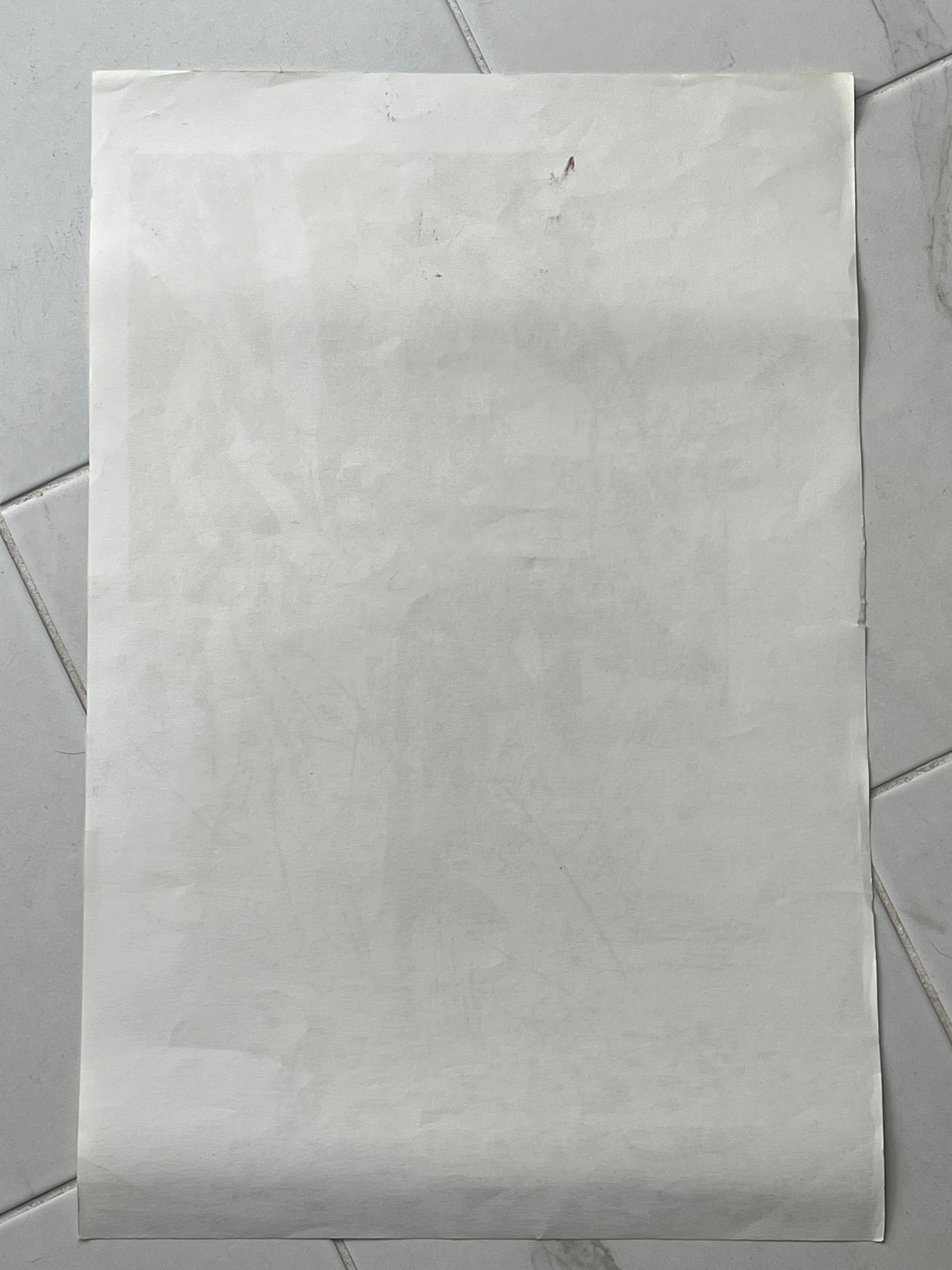 Unframed Vintage 1978 Signed and Numbered Lithograph by Artist Kathy ...