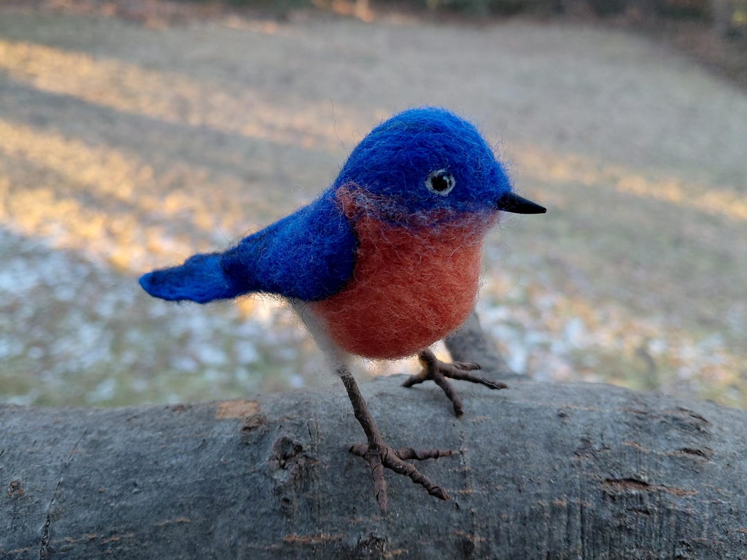 Needle Felted Blue Bird Realistic Bird-ready to Ship - Etsy