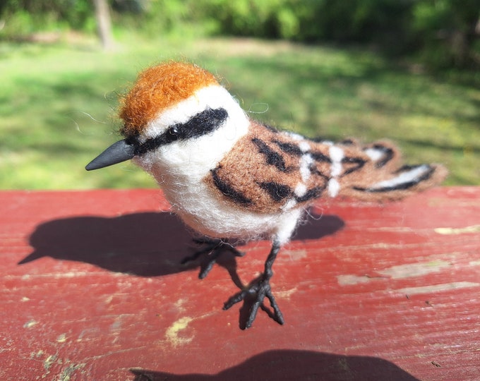 Needle Felted Bird. Realistic Birds. Felted Birds Decorations ...