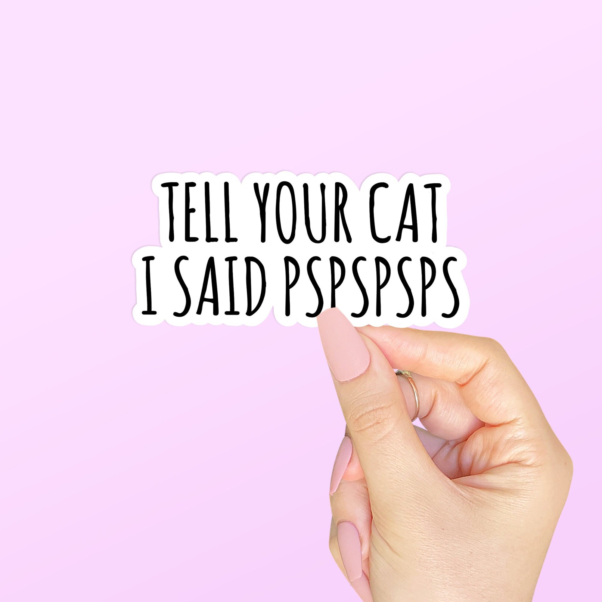 Funny Cat Lady Memes