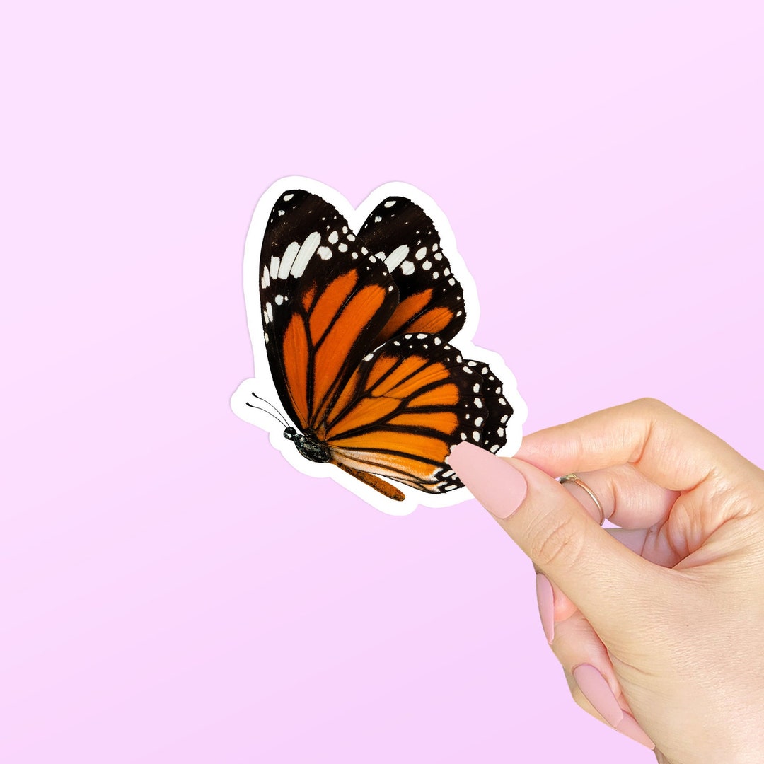 Monarch Butterfly Vinyl Sticker, Cute Orange Aesthetic, Laptop Sticker ...