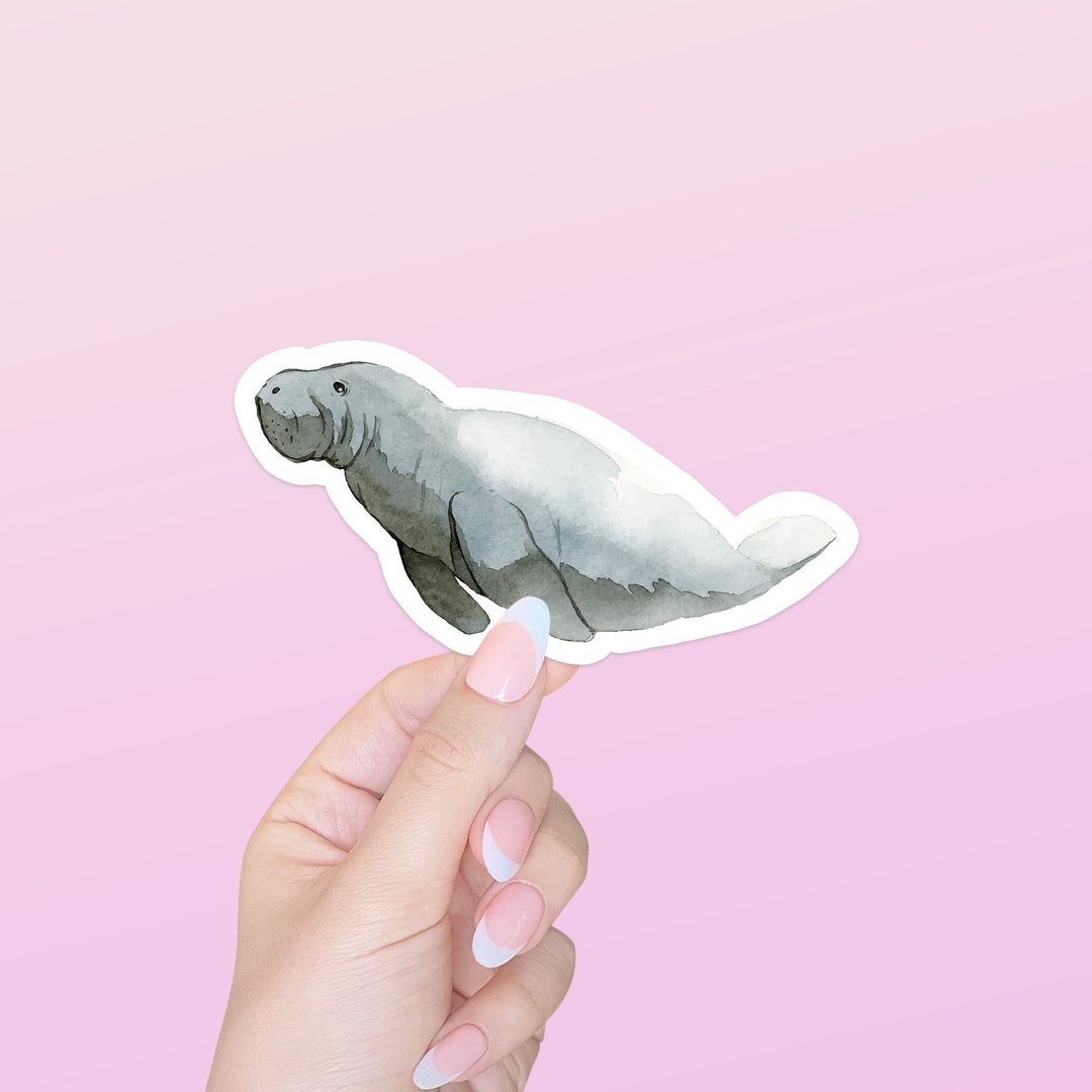 Cute Manatee Sticker, Florida Sticker, Manatee Stickers, Vinyl Ocean ...