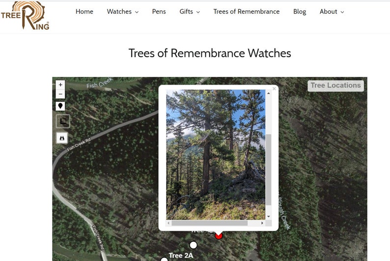 Memorial Watch With Urn for Cremation Ashes; Personalized Memorial ...