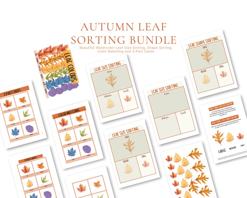 Autumn Leaf Sorting Bundle: Printable Fall Learning Activities (PDF) - Etsy