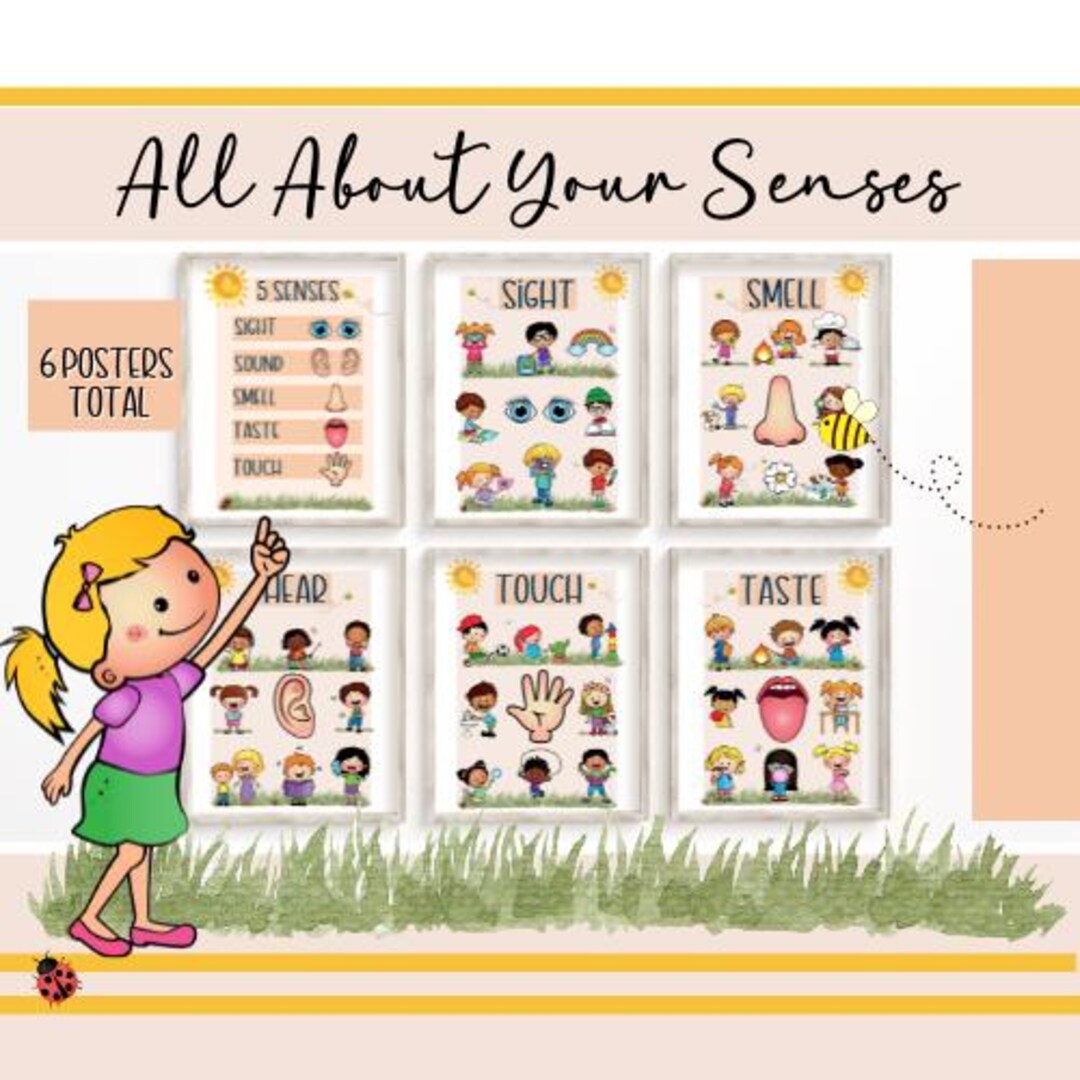 Five Senses Educational Posters: Montessori Learning Print (PDF ...