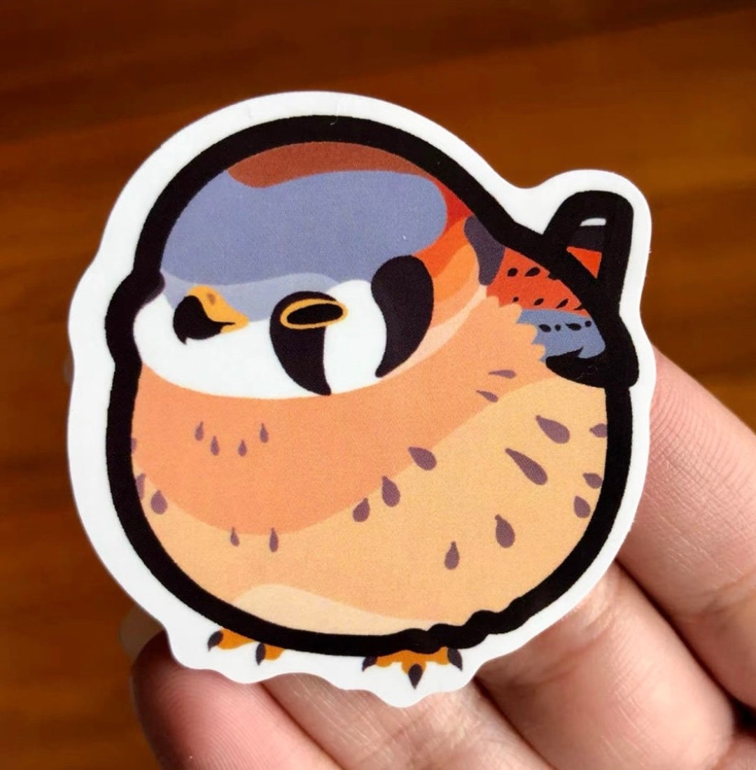 Cute Round American Kestrel, Adorable Waterproof Birb Sticker - Etsy