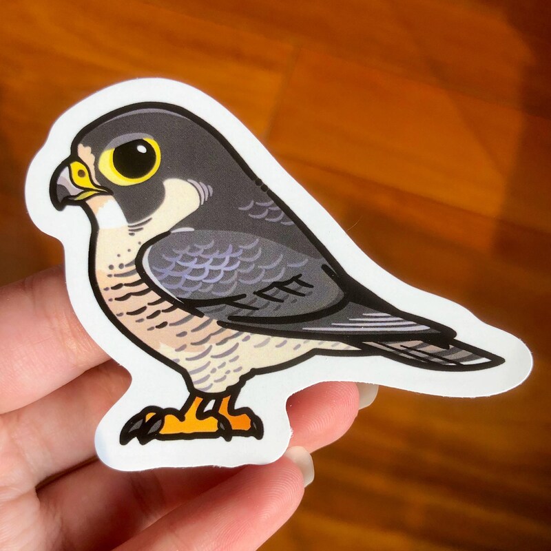 Peregrine Falcon - Etsy