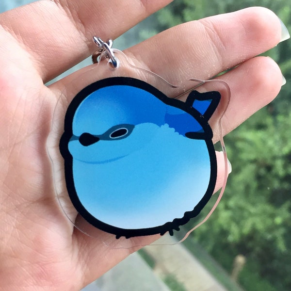 Cute Bluebird - Etsy