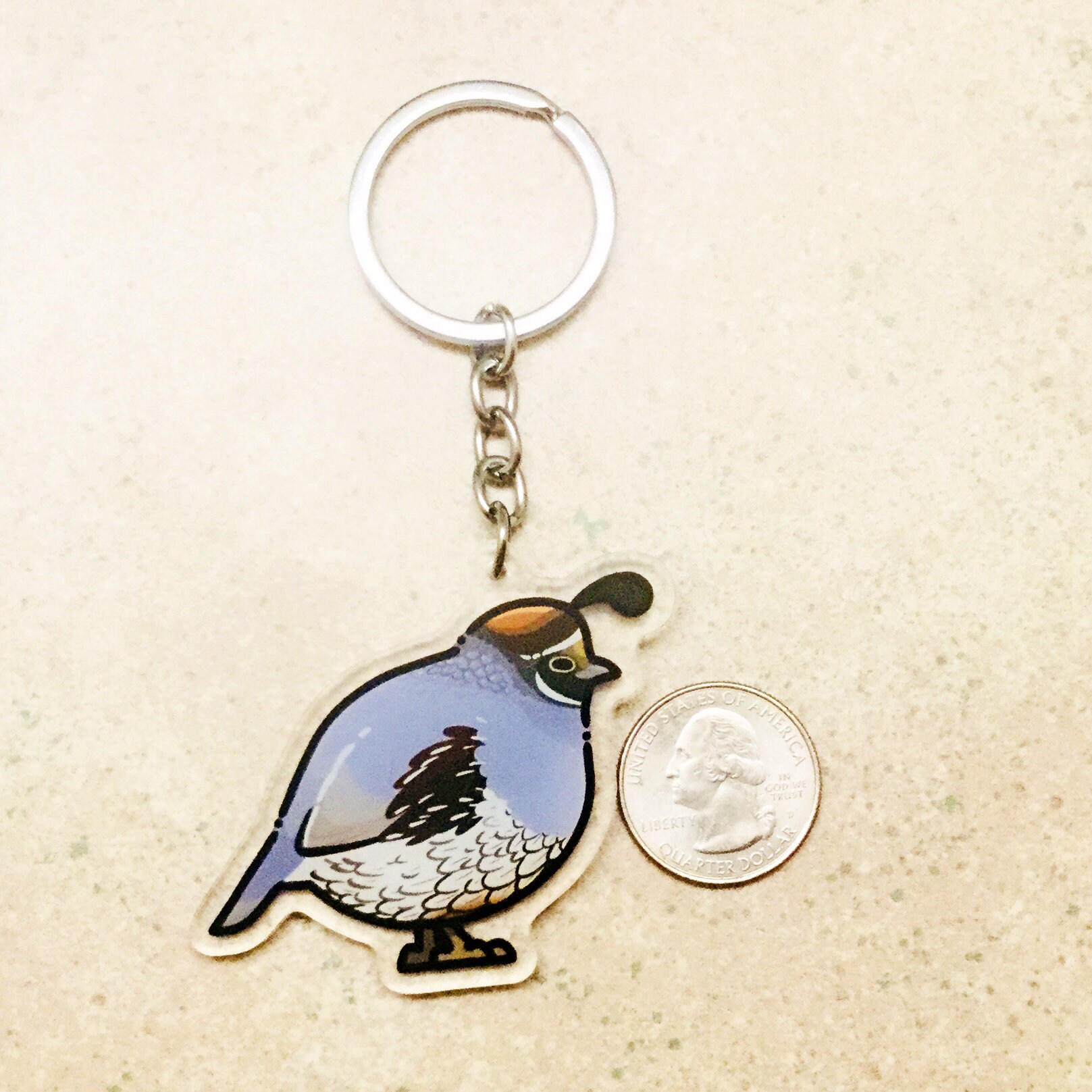 California Quail Keychain, Cute Bird Keychain - Etsy