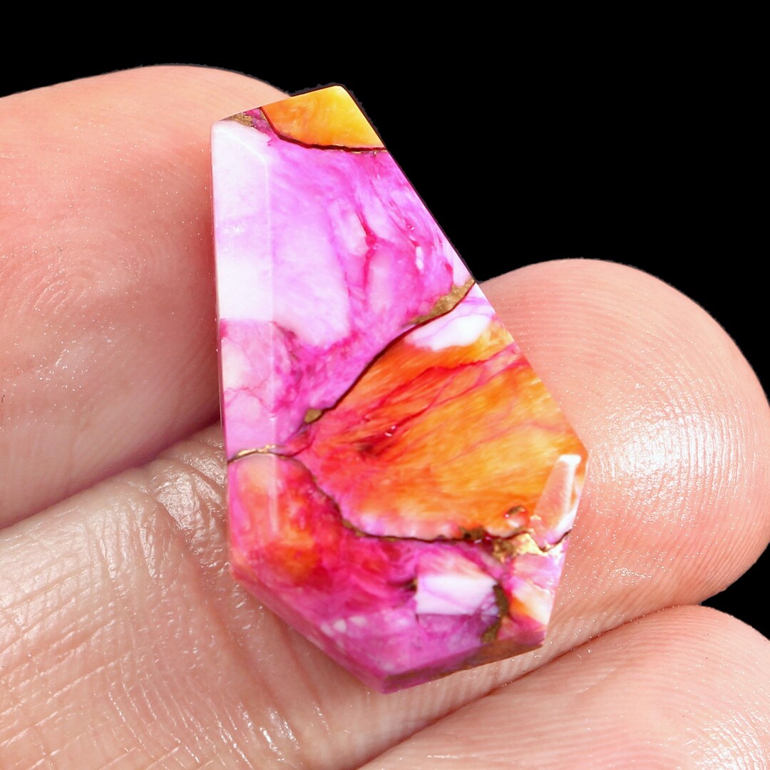 Gorgeous Pink Spiny Oyster Turquoise, Oyster Turquoise, Spiny Oyster ...