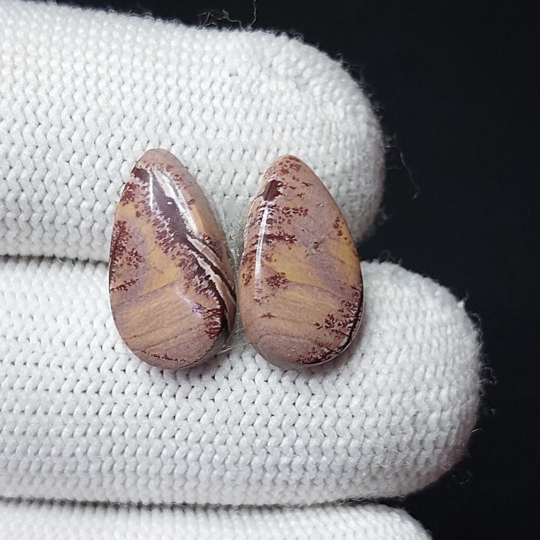 Designer Sonoran Dendritic Rhyolite Cabochon Matched Pair | Scenic ...