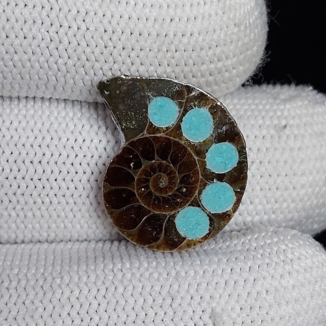 Arizona Turquoise Inlayed Ammonite Fossil ( 13.75 Ct & 20 X 17 X 05 MM ...