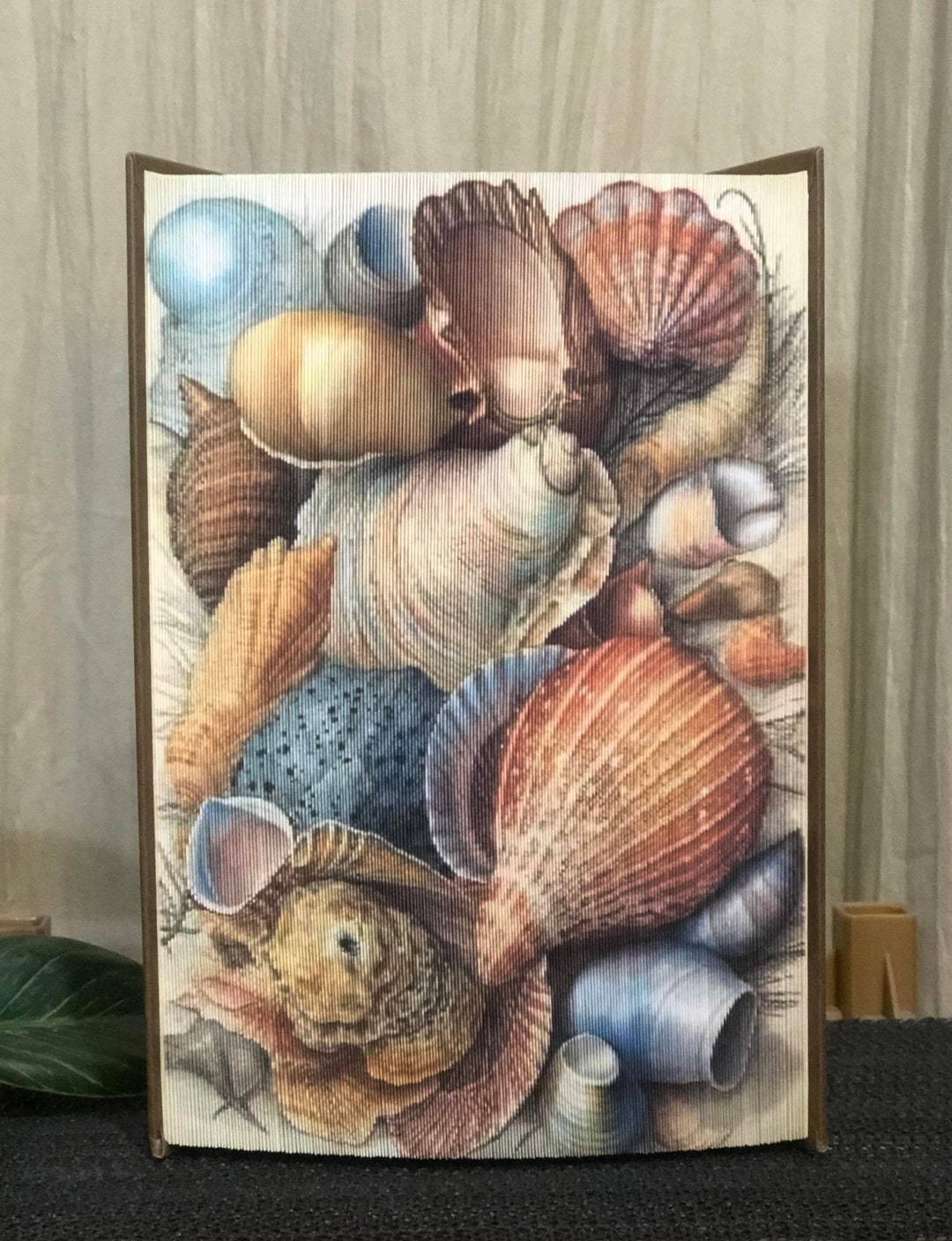 Nautical 64 Beach Seashells Photo Strip Pattern, Fore-edge Book Art ...