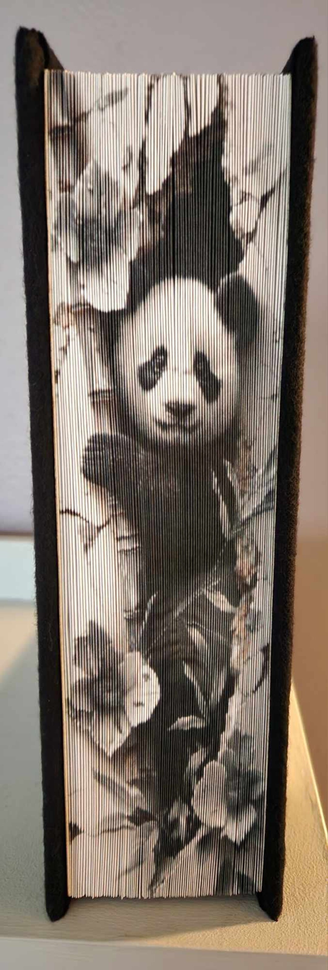 Panda Bear on a Tree Narrow Photo Strip Pattern, Fore-edge Book Art ...