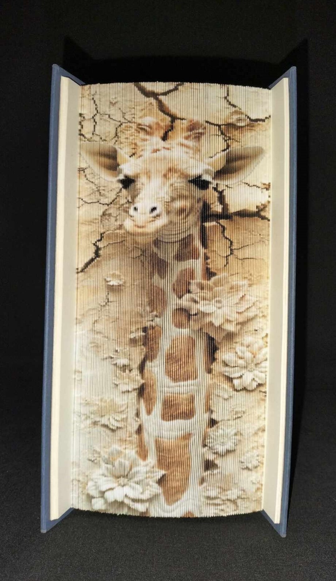 A Giraffe Narrow Photo Strip Pattern, Fore-edge Book Art, Birthday ...