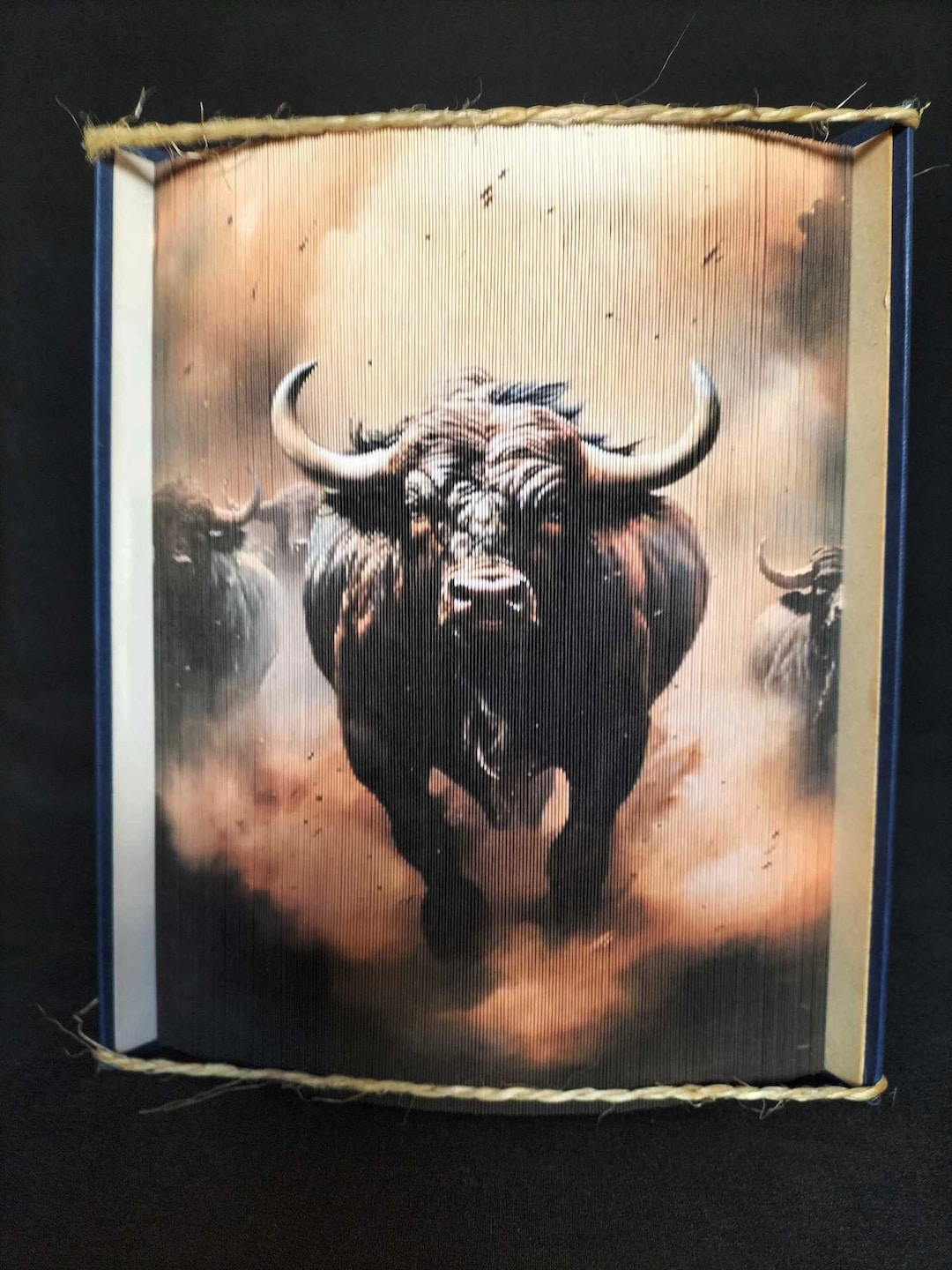 African Animal 51 Water Buffalo Photo Strip Pattern, Fore-edge Book Art ...