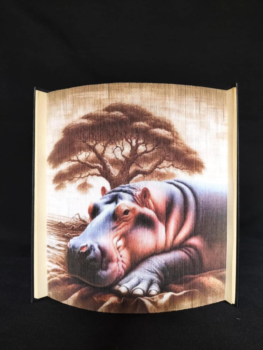 African Hippo 4 Photo Strip Pattern, Fore-edge Book Art, Birthday ...