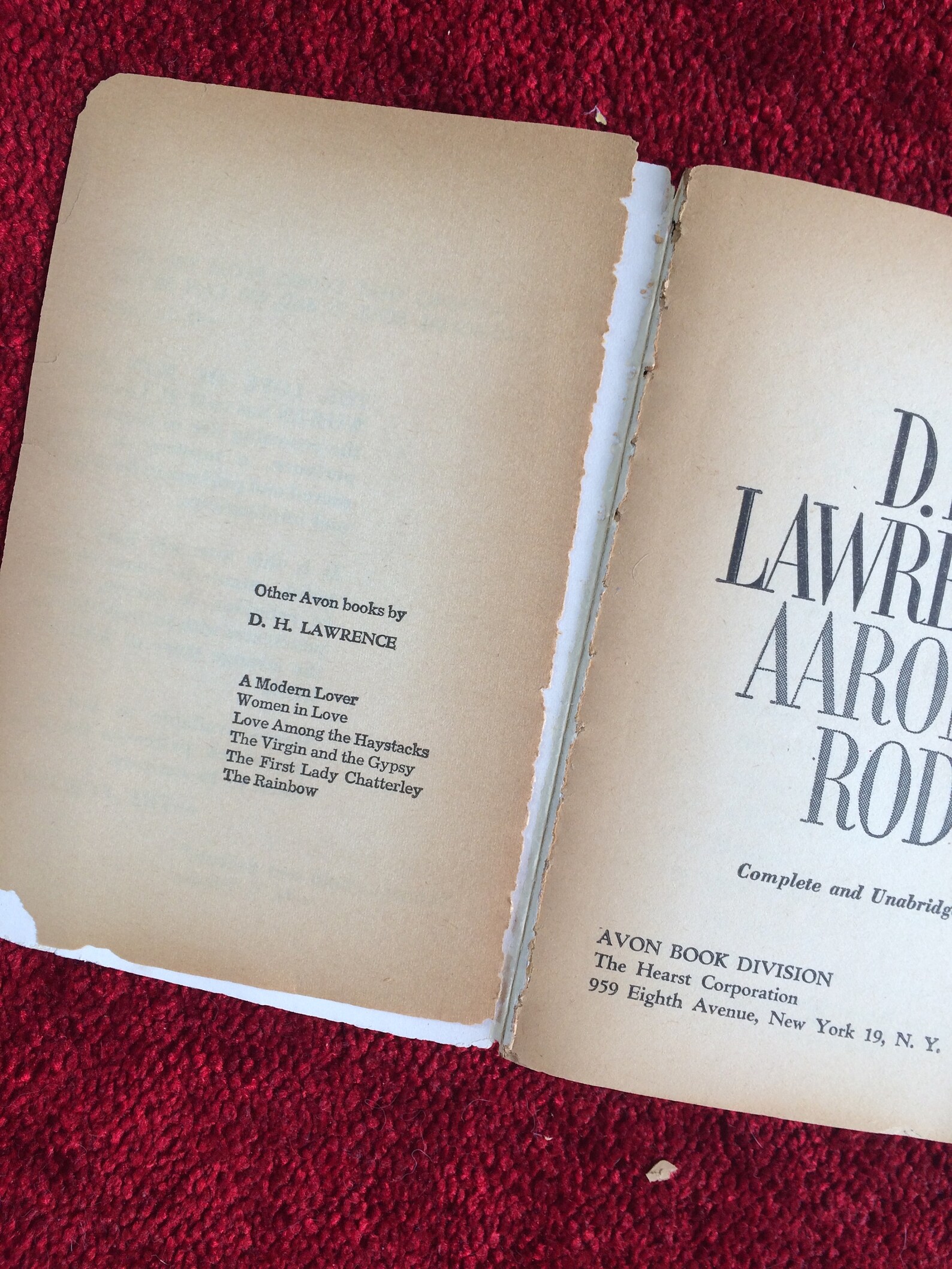 Aaron's Rod by DH Lawrence VINTAGE PAPERBACK Fiction Novel - Etsy