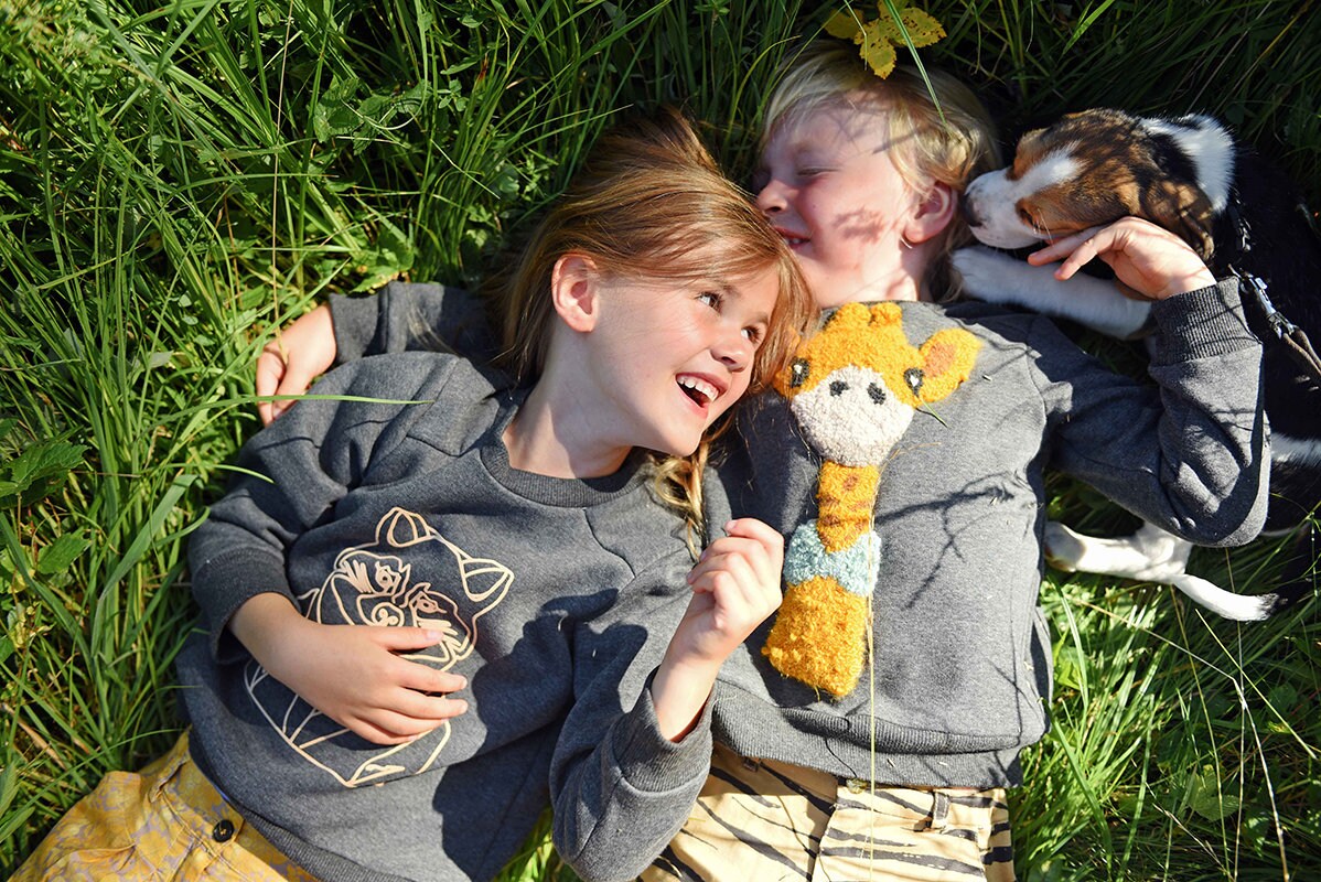 Phoenix Sweater Sewing Pattern | Etsy