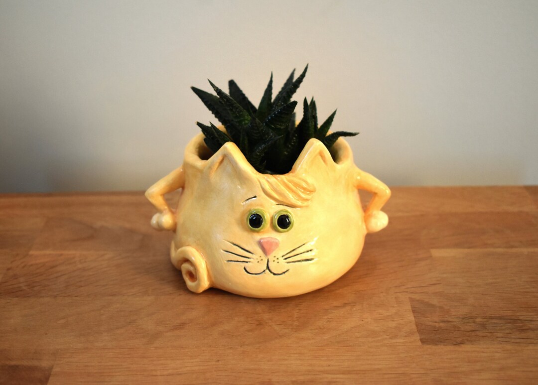 Handmade Ceramic Cat Pot, Funny Cat Plant Pot, Multi-purpose Unique ...