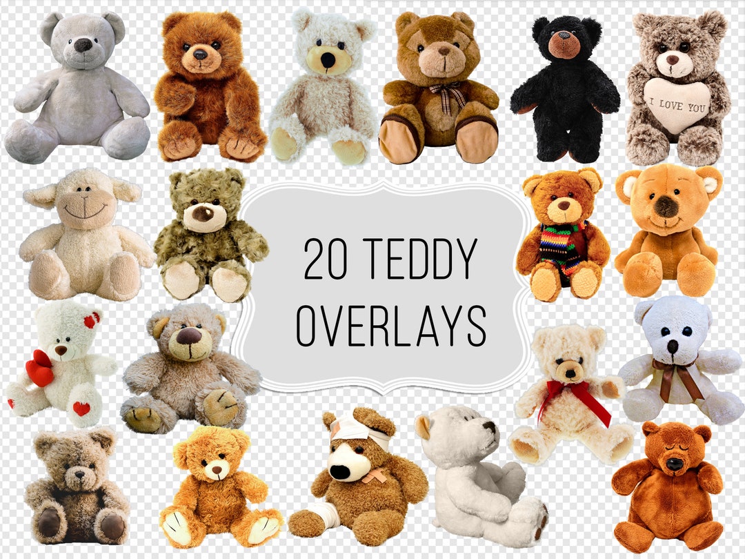20 Teddy Overlays Teddy Bears Photo Editing Cute Teddies - Etsy