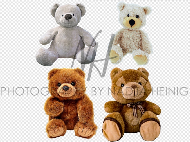20 Teddy Overlays, Teddy Bears, Photo Editing, Cute Teddies With ...