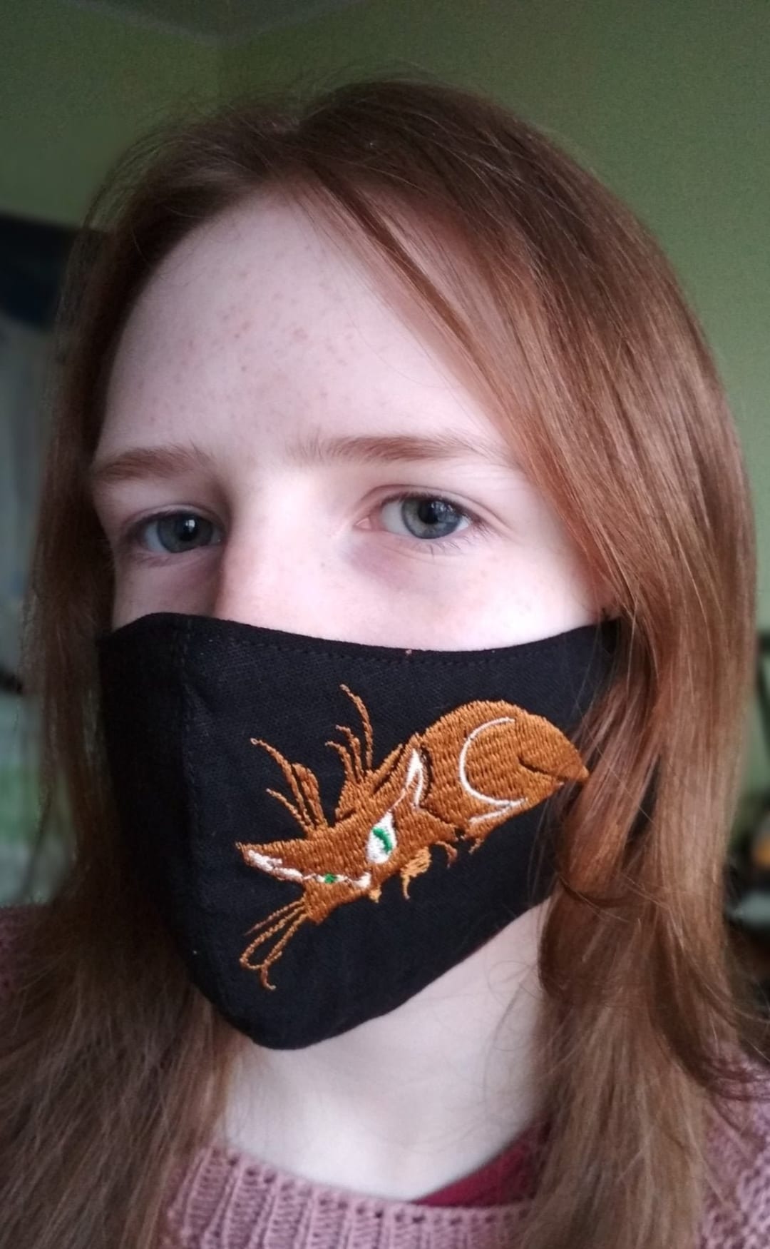 Warriors Cats Mask Firestar Cat Face Mask Silverstream Cat Face Mask ...