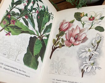 Vintage Flower Book | Etsy