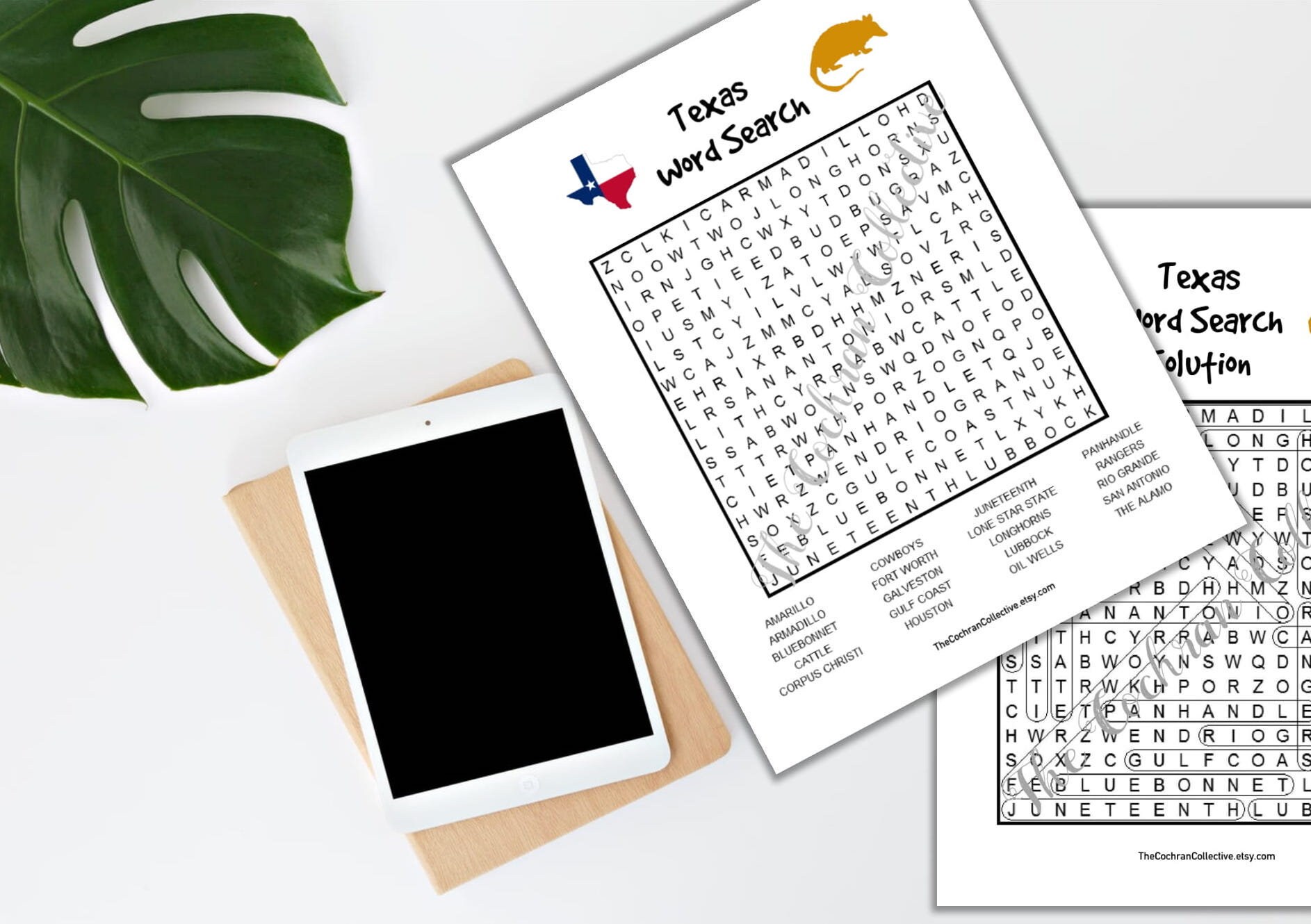 Texas Word Search - Texas Teacher Activities - Texas History Worksheet ...