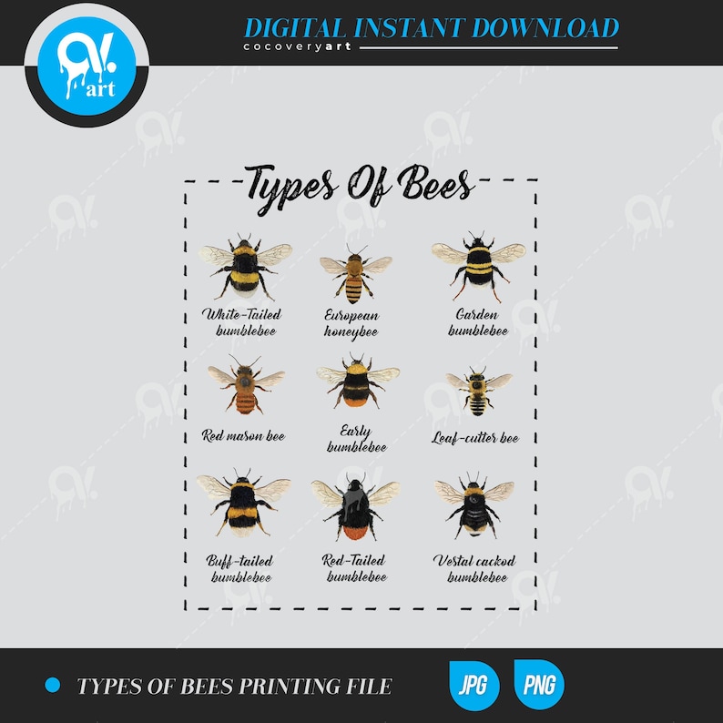 Printable Wall Art Types of Bees Art Print Digital Downloadable - Etsy