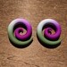 Genderqueer Pride Ombre Gauged Earrings,lgbtqia, Customizable Gauges ...