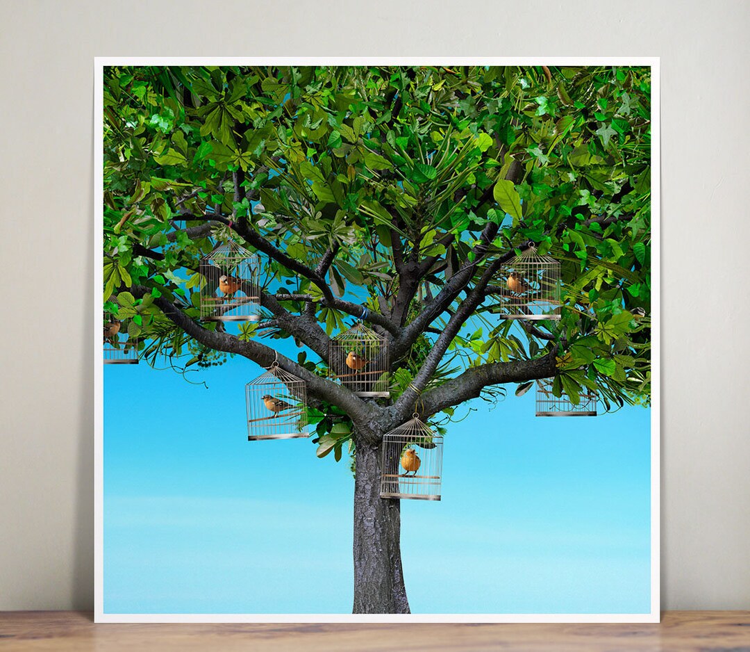 Caged Birds - Illustration - Wall Art - Art Print - Natural Forms ...