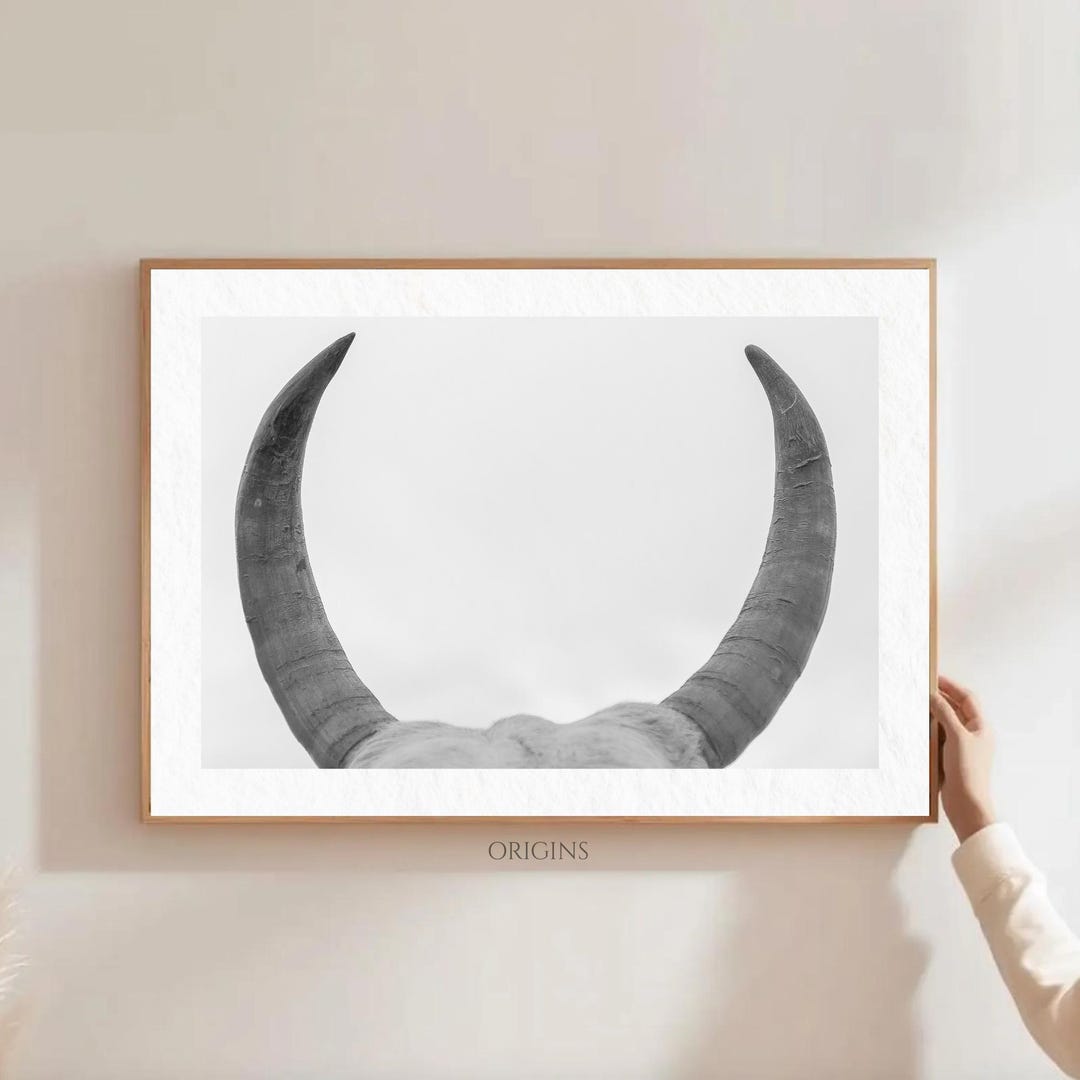 Cow Wall Art | Bull Horns Wall Art Print | Morocco Print | Original Art ...