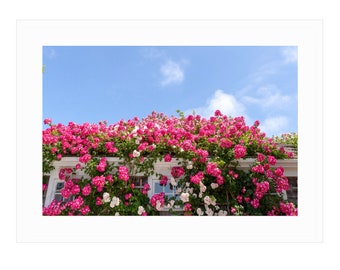 Rose Covered Cottage Horizontal Framed Nantucket Art Print | Etsy