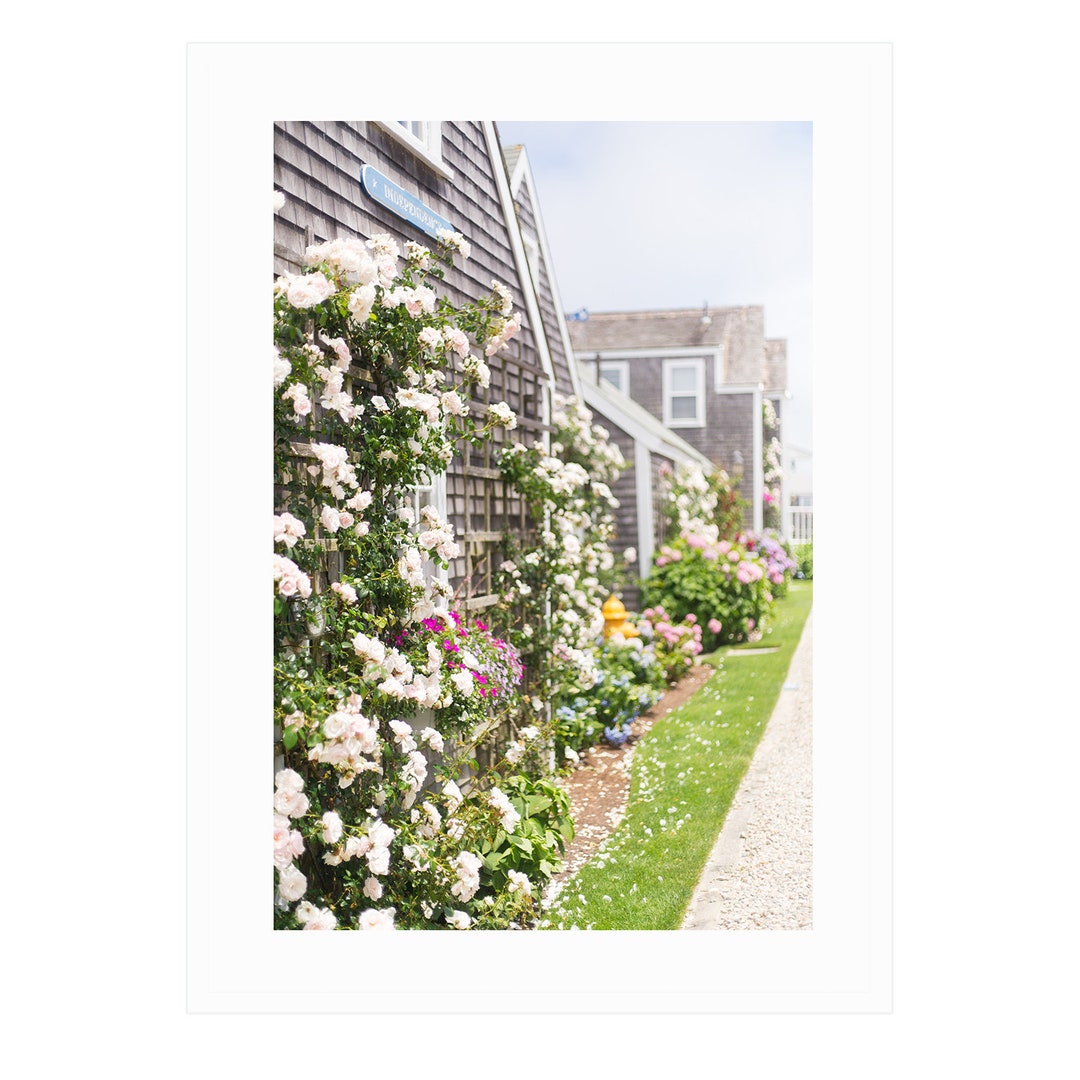 Climbing Roses Framed Nantucket Art Print - Etsy