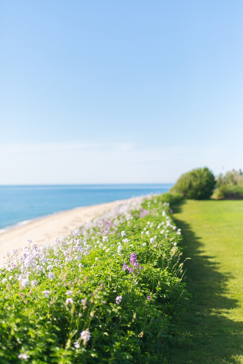 Sconset Bluff Walk Framed Nantucket Art Print - Etsy