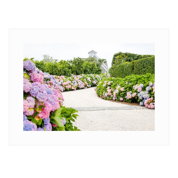 Hydrangea Driveway Horizontal Framed Nantucket Art Print | Etsy