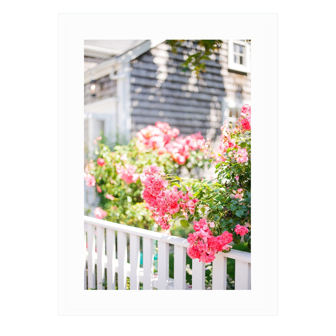 Pink Roses Framed Nantucket Art Print - Etsy
