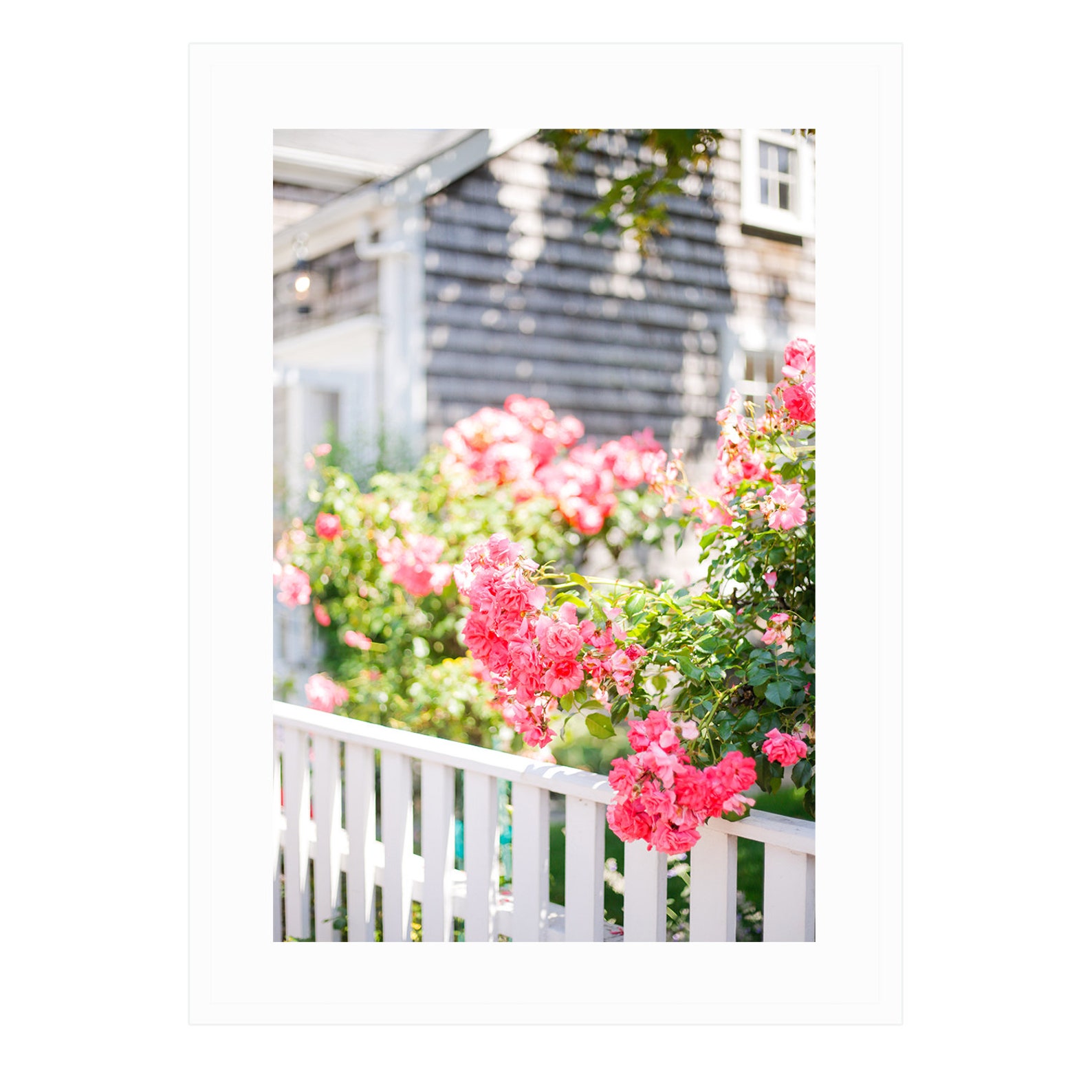 Pink Roses Framed Nantucket Art Print - Etsy