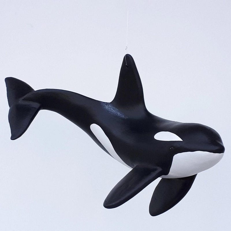 Orca Decor - Etsy
