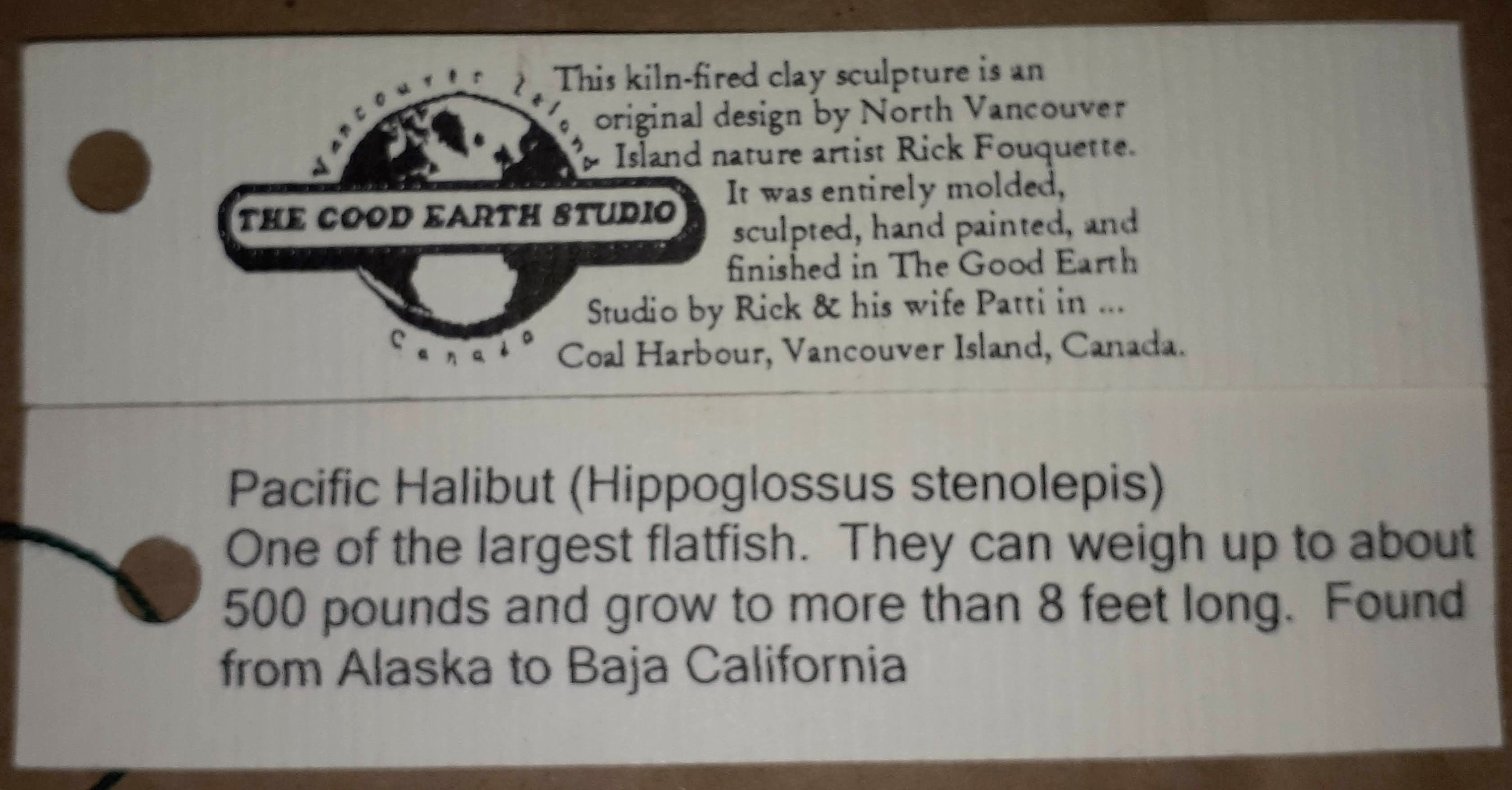 Pacific Halibut Wall Hanging - Etsy