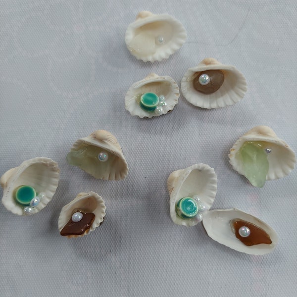 Sea Shell Magnet - Etsy