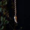 Custom Puppy/ Kitten Tooth Necklace // Pet Memorial Necklace // Dog ...