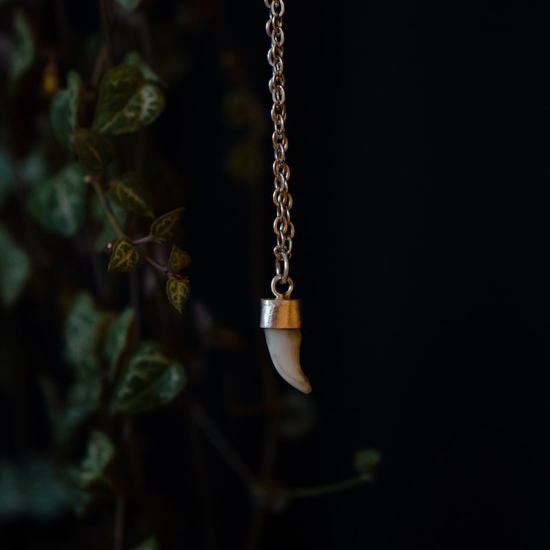 Gold Tooth for Dog - Etsy